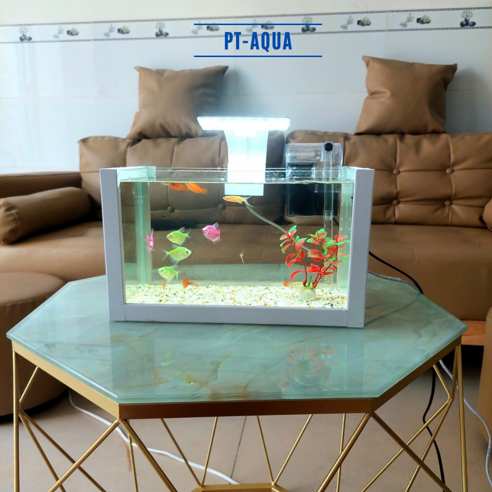Bể cá mini để bàn COMBO LED13 WHITE có KHUNG