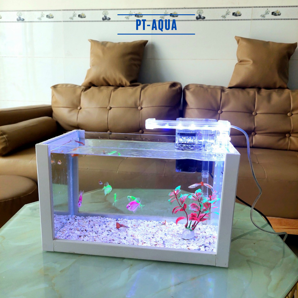Bể cá mini để bàn COMBO D10 có Khung