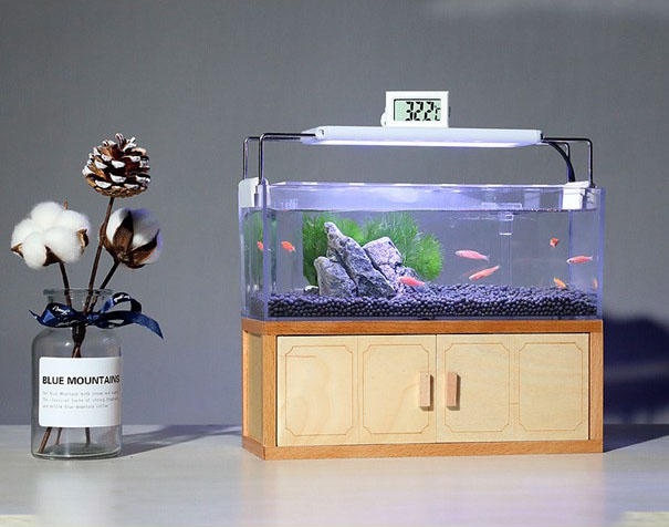 Bể cá mini giá bao nhiêu