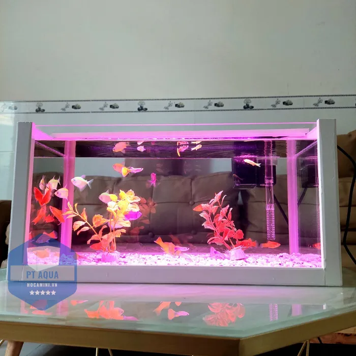 Bể cá mini để bàn - PT AQUA