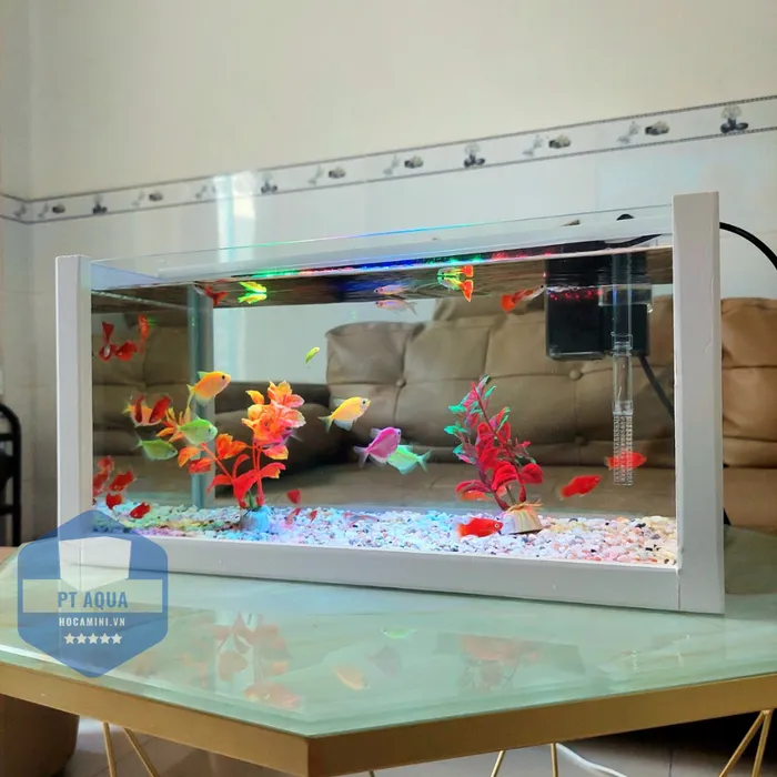 Bể cá mini để bàn - PT AQUA