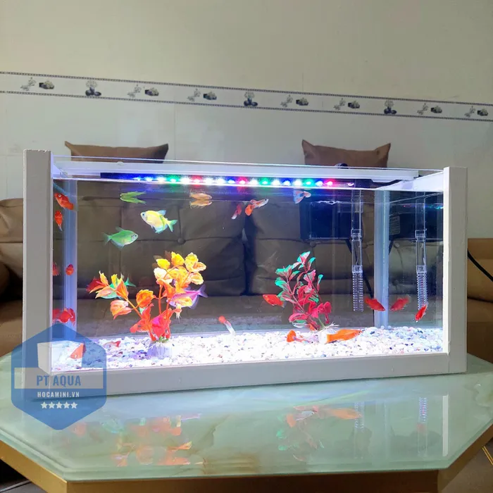 Bể cá mini để bàn - PT AQUA