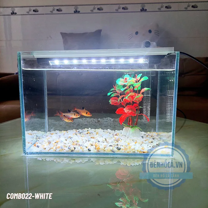 Bể cá mini để bàn - PT AQUA