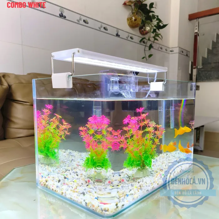 Bể cá mini để bàn - PT AQUA