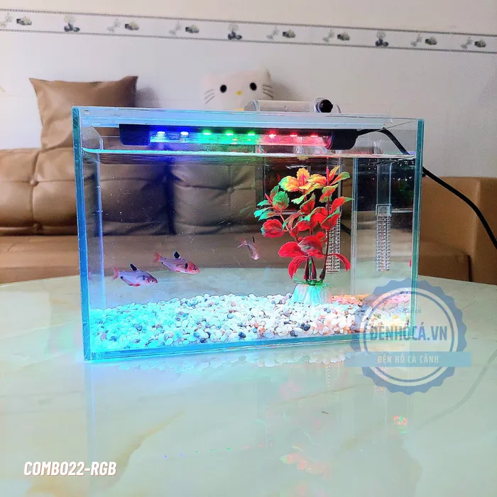 Bể cá mini để bàn - PT AQUA