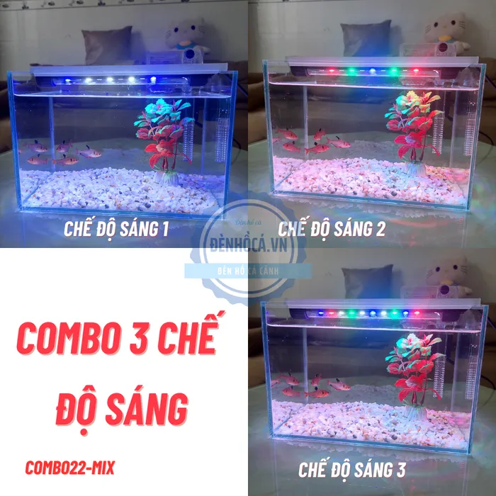 Bể cá mini để bàn - PT AQUA