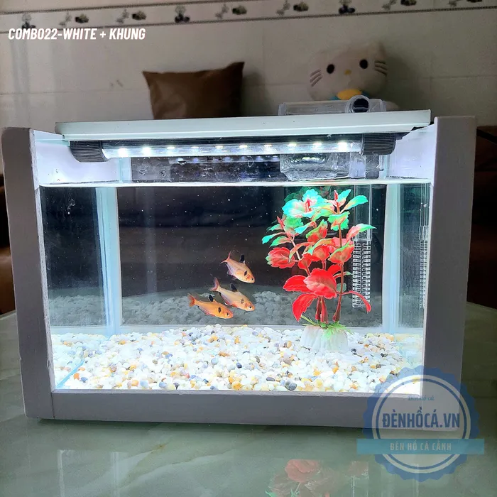 Bể cá mini để bàn - PT AQUA