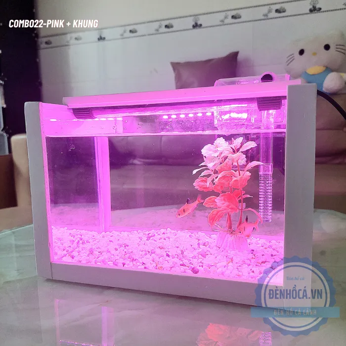 Bể cá mini để bàn - PT AQUA