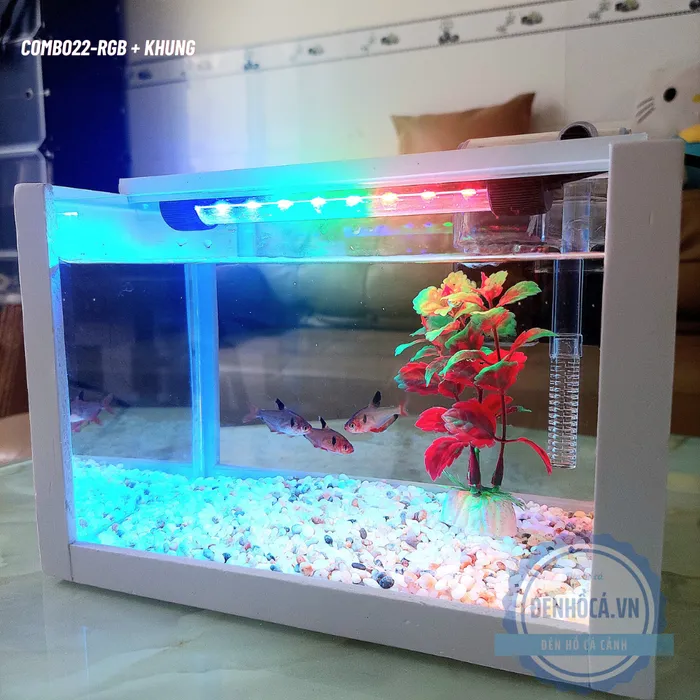 Bể cá mini để bàn - PT AQUA