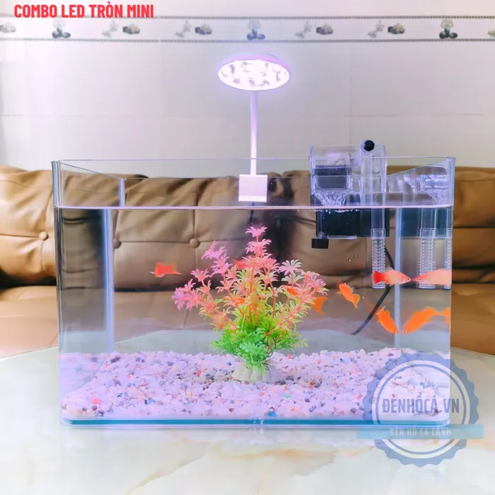 Bể cá mini để bàn - PT AQUA