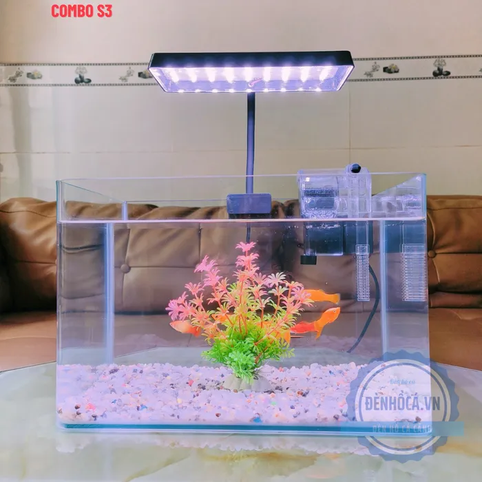 Bể cá mini để bàn - PT AQUA