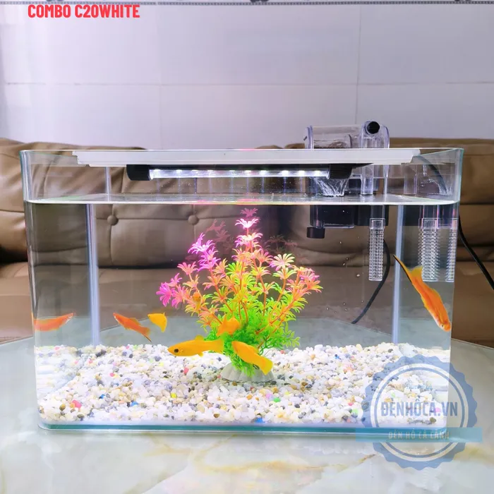 Bể cá mini để bàn - PT AQUA