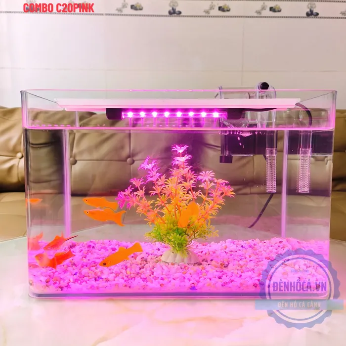 Bể cá mini để bàn - PT AQUA