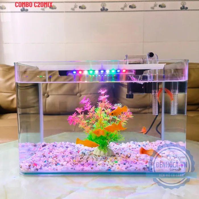 Bể cá mini để bàn - PT AQUA