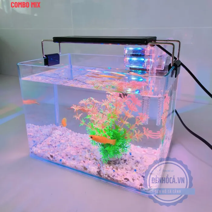 Bể cá mini để bàn - PT AQUA