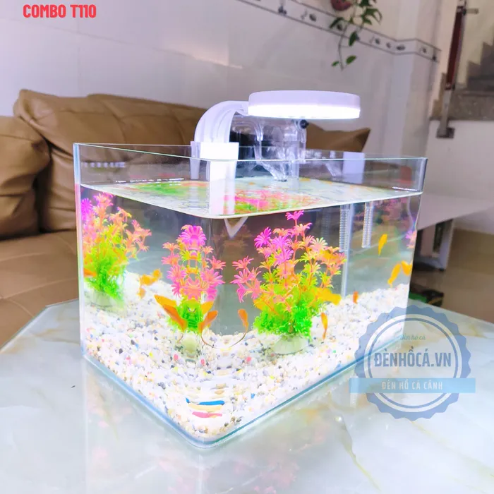 Bể cá mini để bàn - PT AQUA