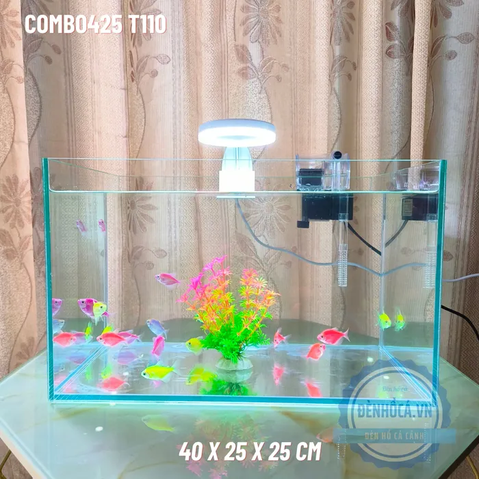 Bể cá mini để bàn - PT AQUA
