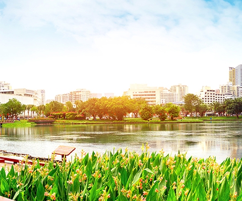 Liên hệ Công ty cổ phần Jokaso Việt Nam