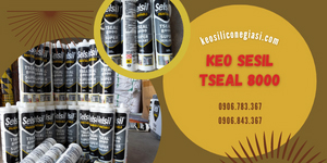 ĐẠI LÝ SỈ KEO SELSIL TSEAL 8000 SUPER SEALANT GIÁ RẺ
