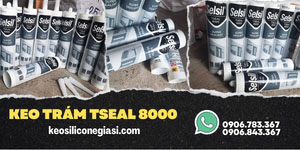 Nơi thanh lý giá sỉ keo trám gốc nước rẻ nhất hiện nay