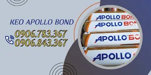 Bán KEO APOLLO BOND giá sỉ rẻ Miền Nam