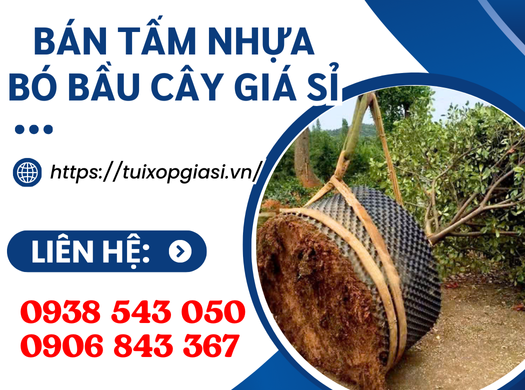BÁN TẤM NHỰA BÓ BẦU CÂY GIÁ SỈ