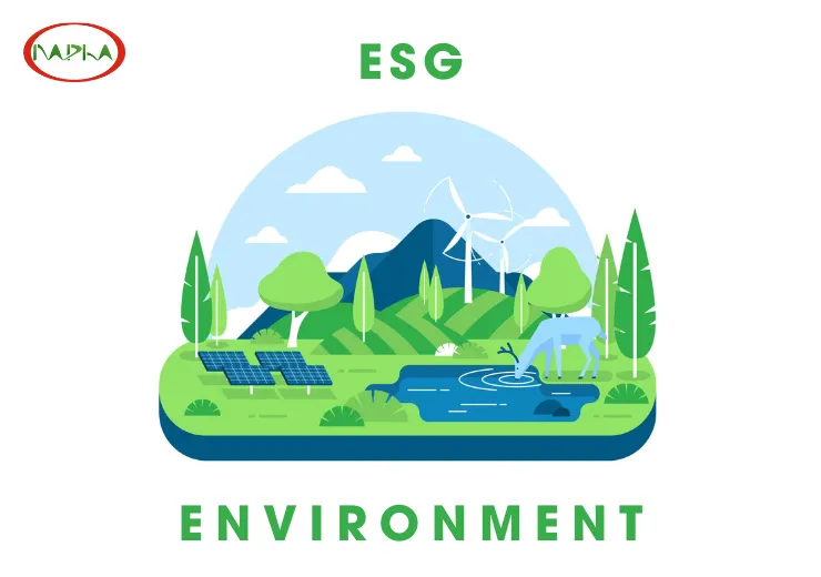 KHUNG NGUYÊN TẮC MÔI TRƯỜNG THEO ĐIỀU KHOẢN 5 (ESG) IWA 48:2024