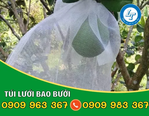 TÚI BAO BƯỞI DA XANH 30 X 35 GIÁ RẺ CHẤT LƯỢNG