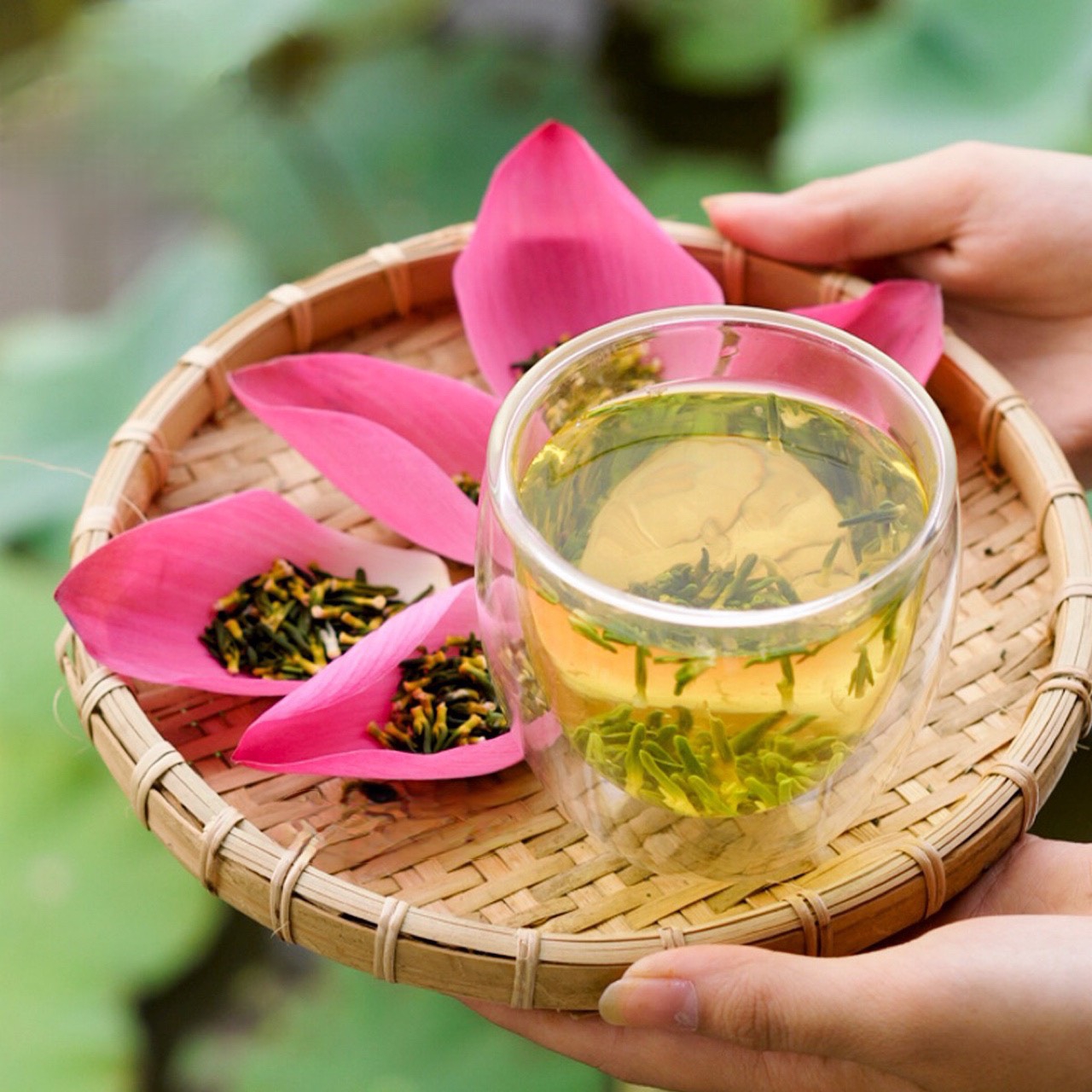 TRÀ TÂM SEN CÓ TÁC DỤNG GÌ? SỬ DỤNG NHƯ THẾ NÀO THÌ TỐT?