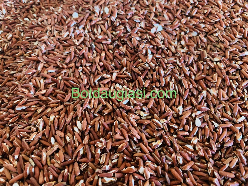 Nhận rang xay gia công bột gạo lứt giá rẻ