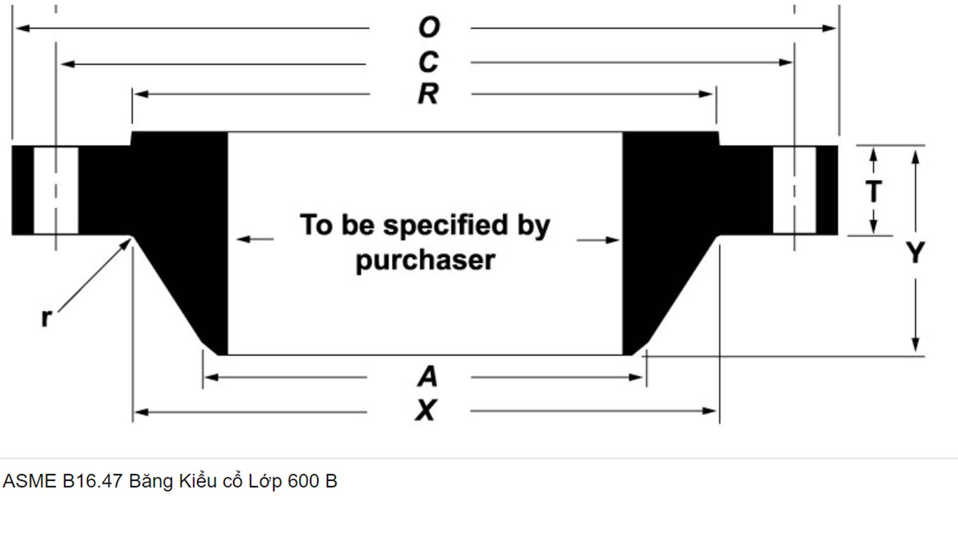 MẶT BÍCH ANSI B16.47 SER.B API 605 #300