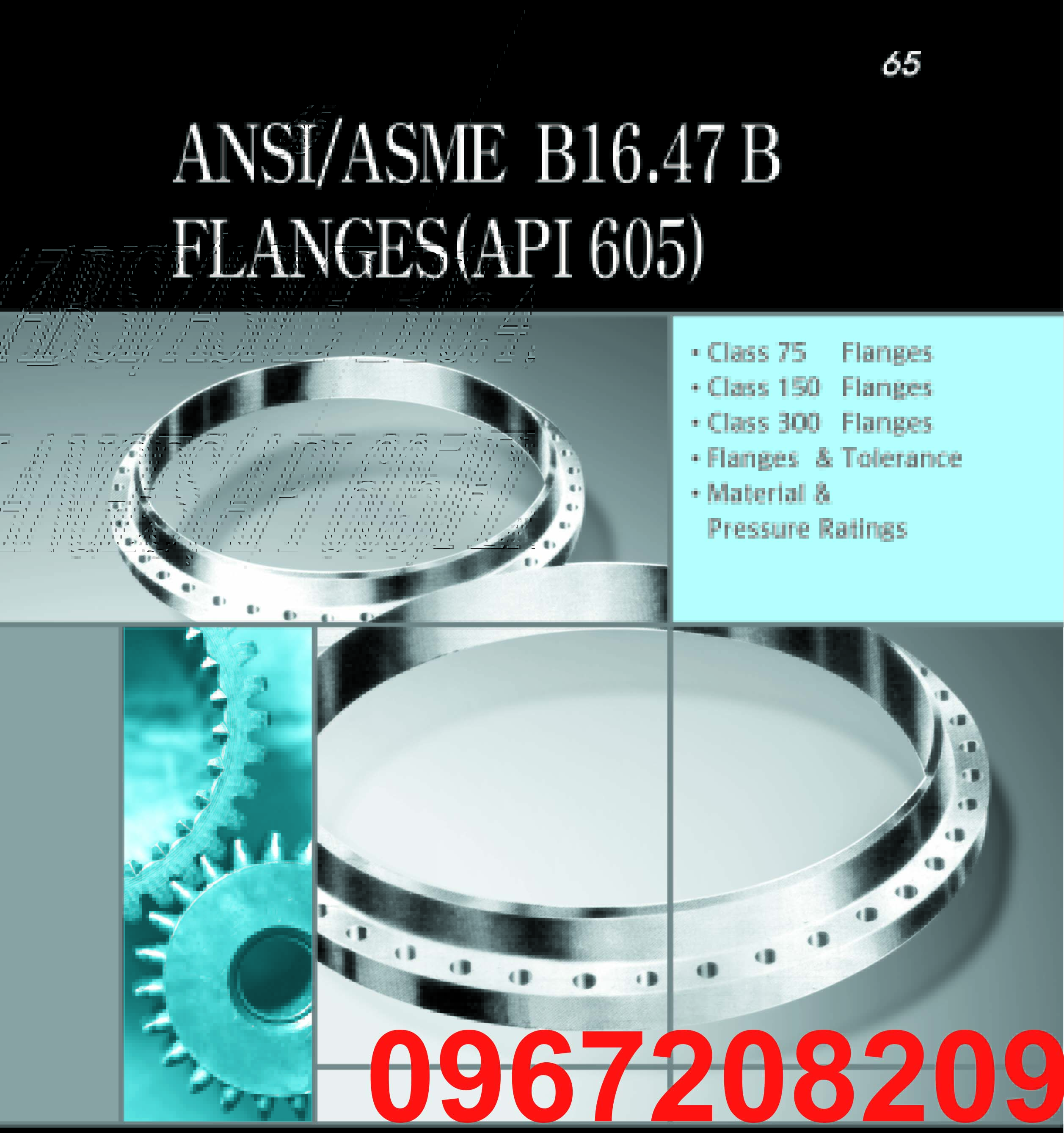 MẶT BÍCH ANSI B16.47 SER.B API 605 #300