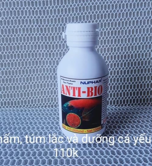 Thuốc Anti Bio Trị Nấm Cá