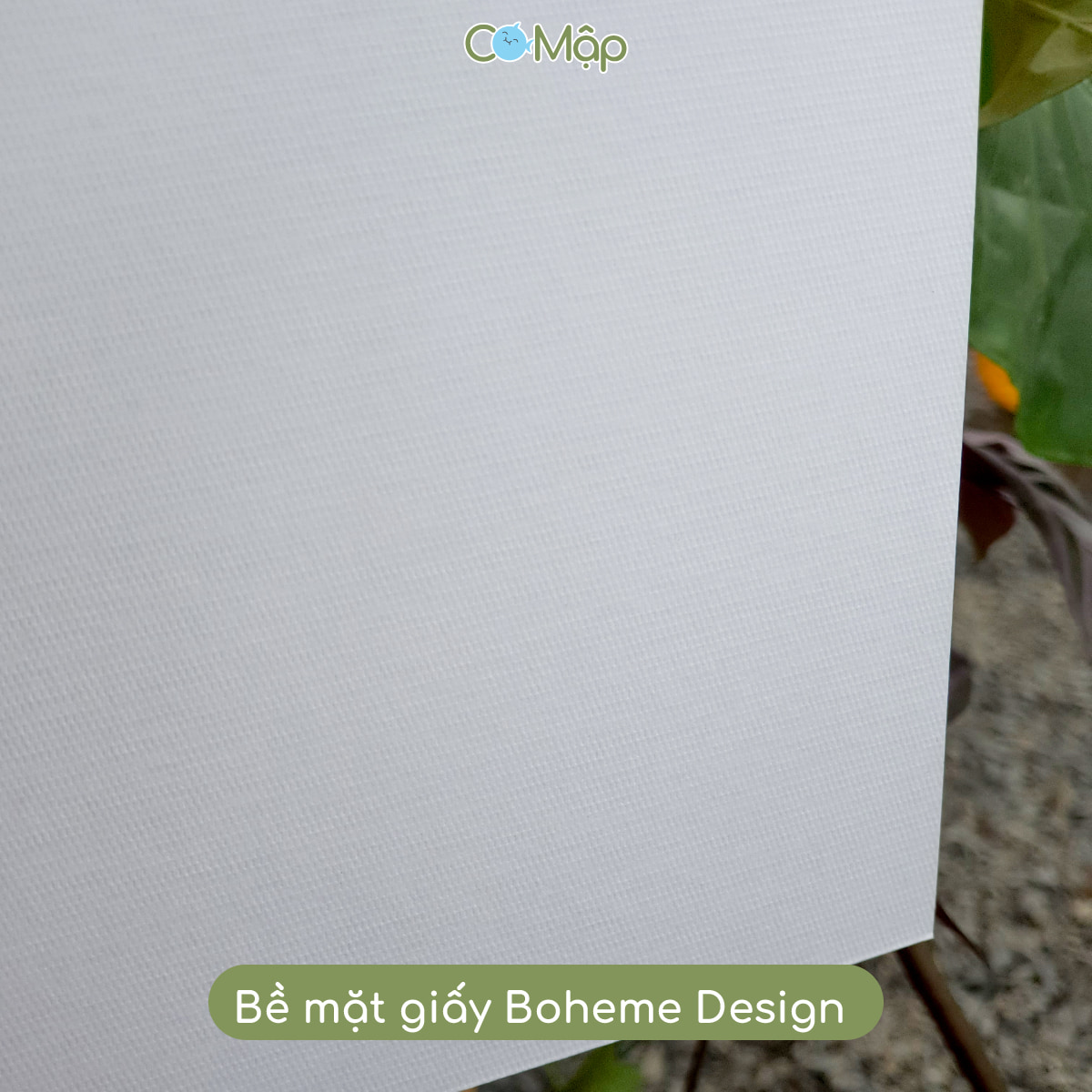 In giấy mỹ thuật Boheme Design - Họa tiết tinh tế cho sản phẩm cao cấp