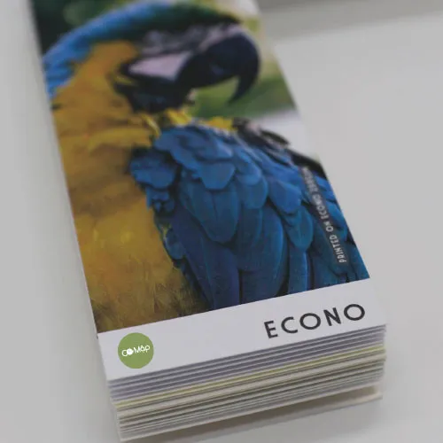 In giấy mỹ thuật Econo chỉ từ 9k | Giấy danh tiếng của Nhật giá thấp