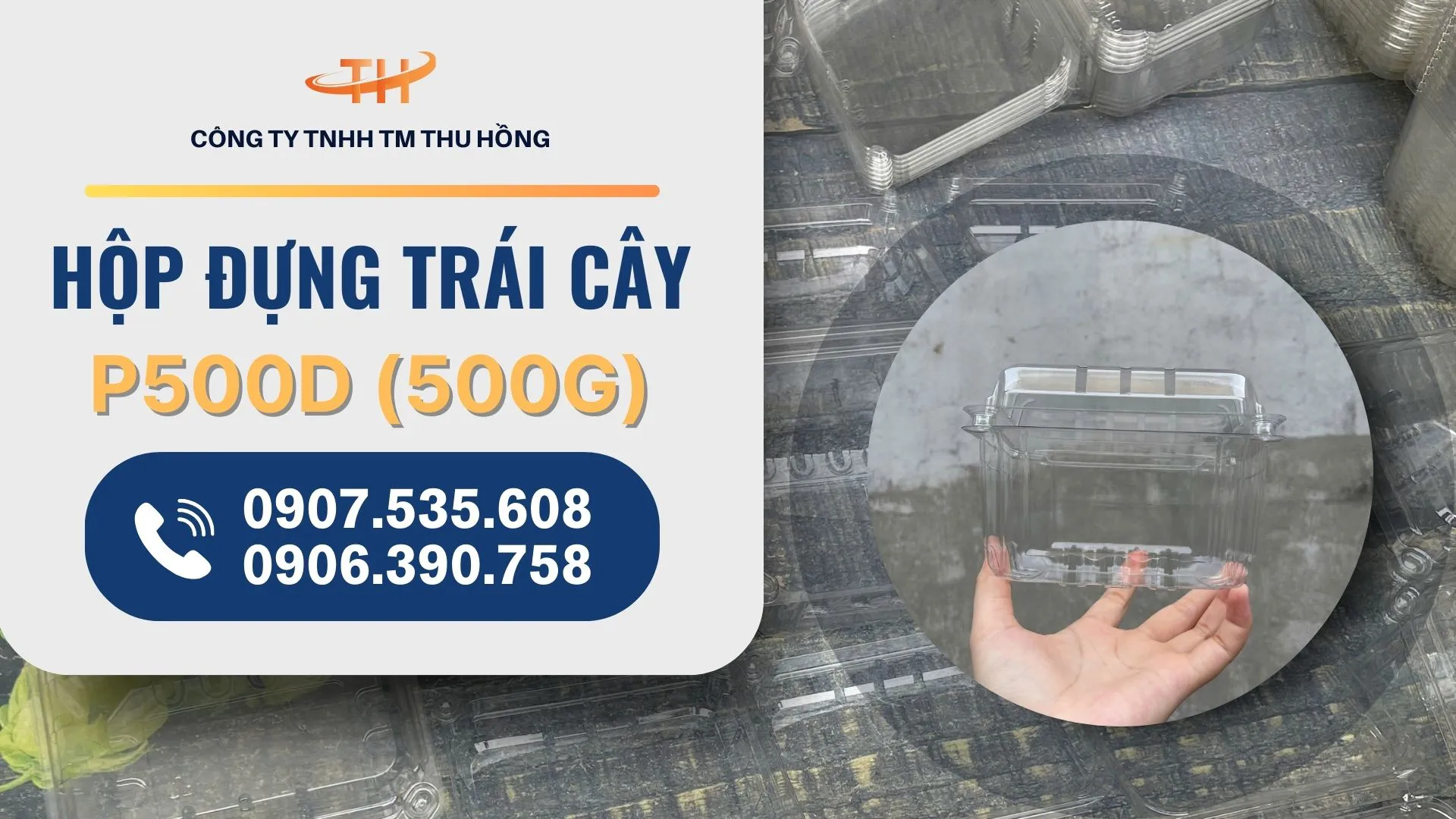 Mua sỉ hộp đựng trái cây P500D (500g) ở đâu giá tốt?