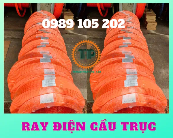 Ray điện 3 pha 100A