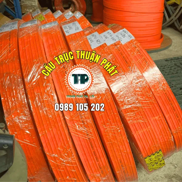 Ray điện an toàn giải pháp lấy điện cho các động cơ trên mâm xoay- ️