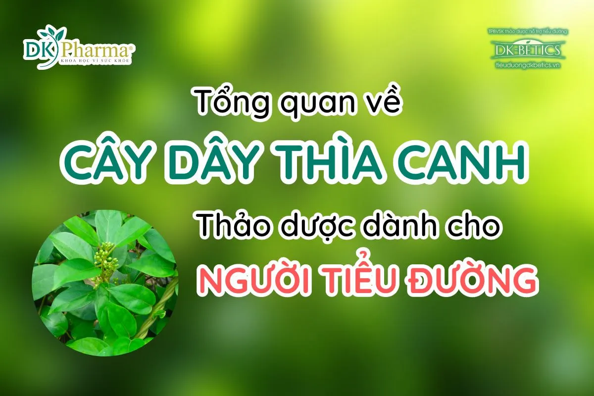 Tổng quan về cây dây thìa canh (Gymnema sylvestre)