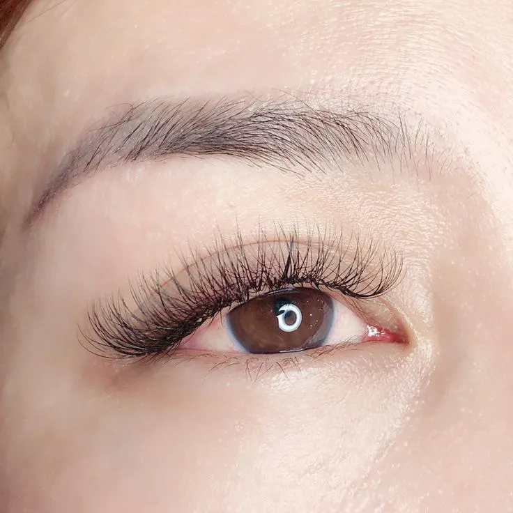 Nối Mi Volume Mắt Mèo: Xu Hướng Làm Đẹp Quyến Rũ Hiện Nay
