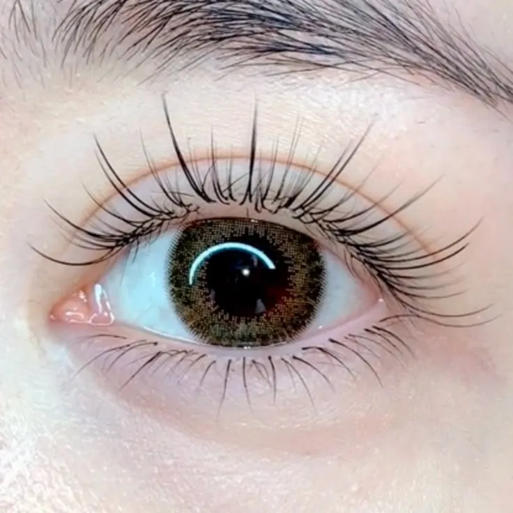 Phân biệt các kiểu nối mi