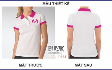 File thiết kế vector - Logo in áo lớp 6A1 Fly High