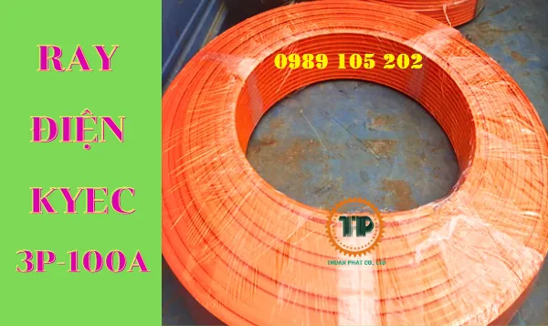 Ray điện an toàn Kyec 3P 100A
