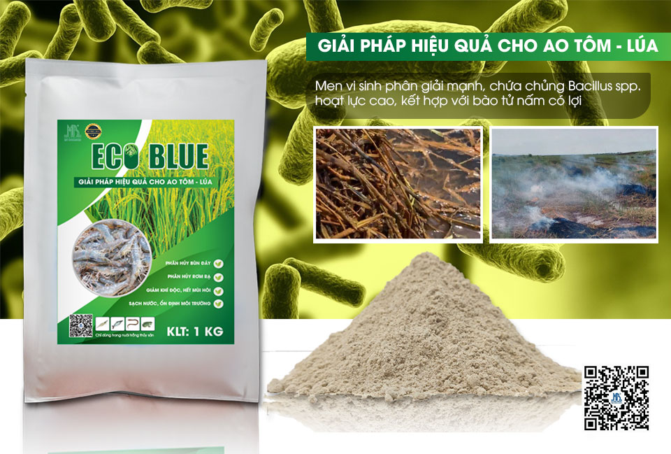 Biến Rơm Rạ Thành Phân Hữu Cơ – ECO BLUE Giải Pháp Hiệu Quả Cho Mô Hình ...