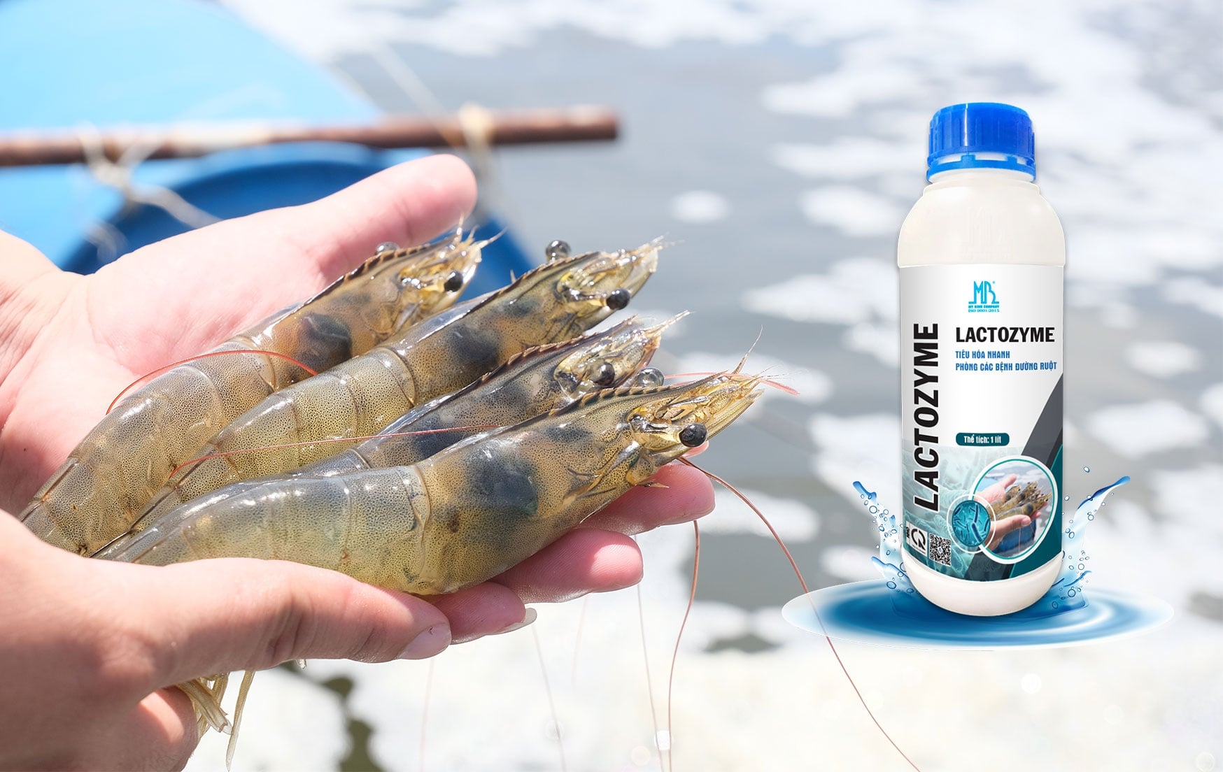 Men sống đặc hiệu Lactozyme giải pháp thay thế hóa chất và kháng sinh.