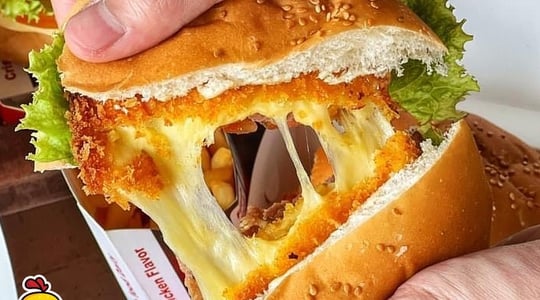 GIỚI THIỆU BURGERVIET