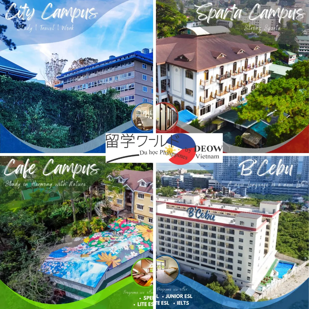 Khám Phá Sự Khác Biệt Giữa Các Cơ Sở Tại API BECI - Những Điều Cần Biết Về API BECI 2025