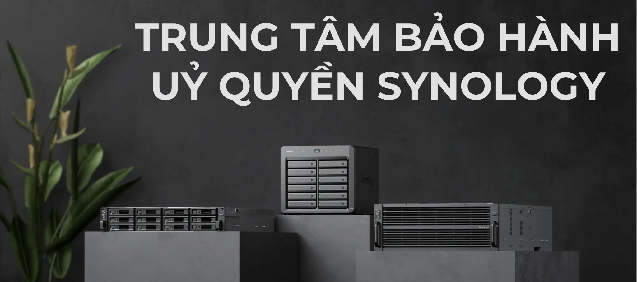 TTBH UỶ QUYỀN SYNOLOGY