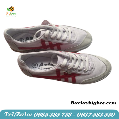 Giày bata asia trắng