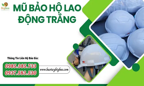 Cung cấp mũ bảo hộ lao động - Mũ lao động màu trắng giá sỉ rẻ HCM